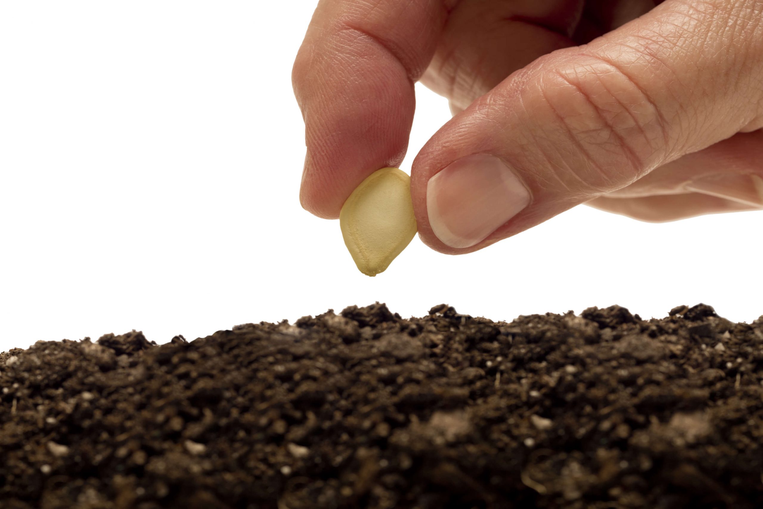 The Science Of The Seed Bishop Jordan